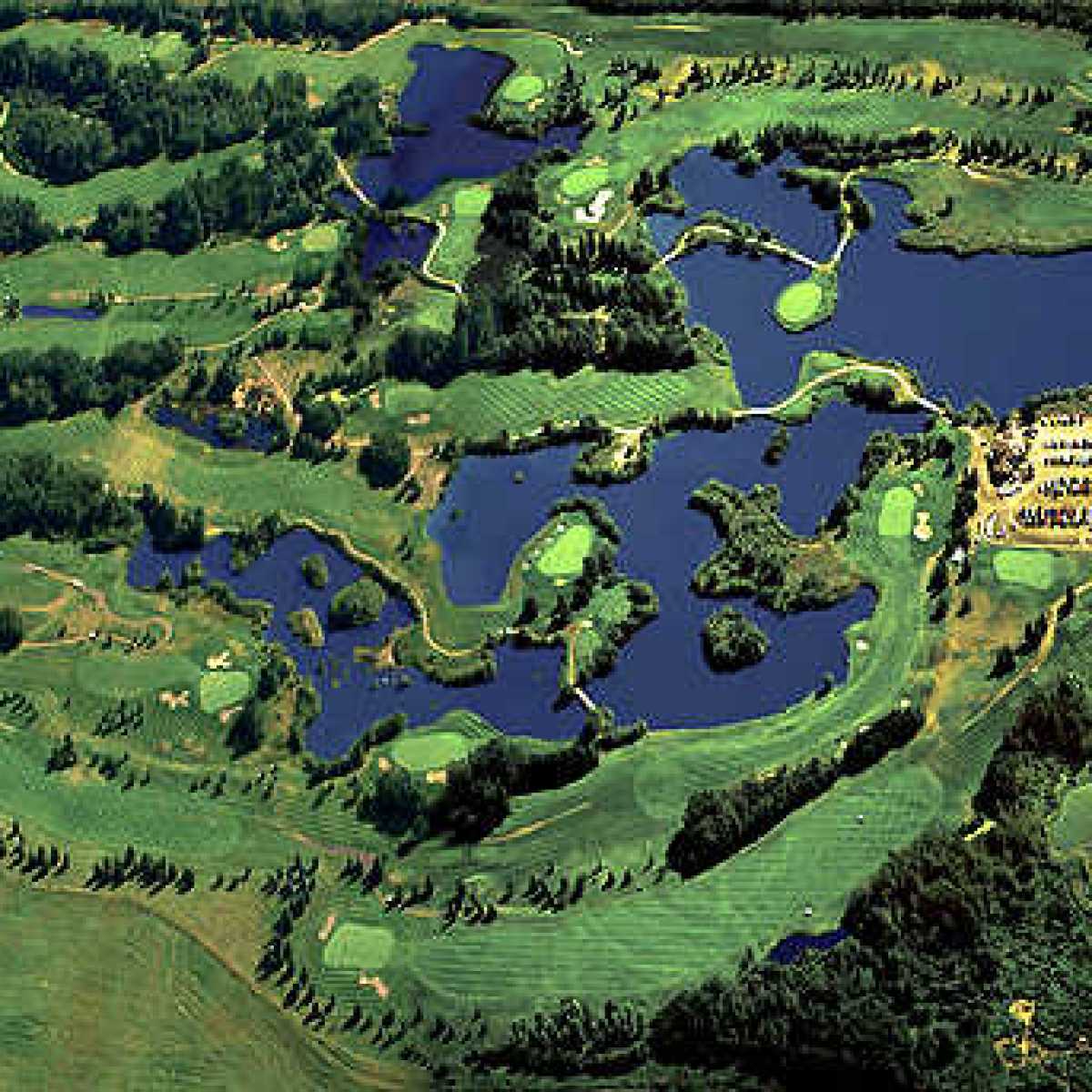 Edmonton & Northern AB – VIP Golf